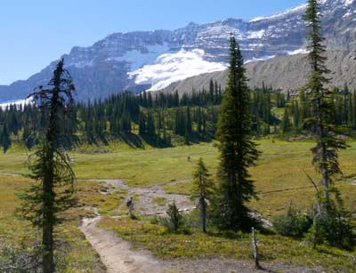 On the Road with Maya: The Iceline Trail, Yoho National Park, Canada