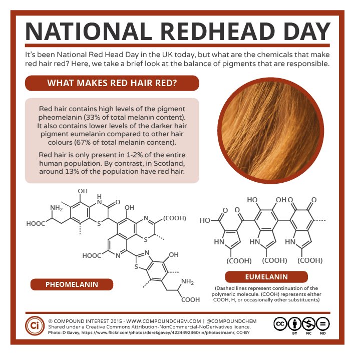 EcoworldReactor: "THE SCIENCE BEHIND REDHEAD"