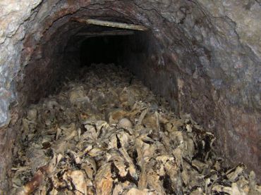 GLEDIŠTA VUJCA ŠTEFINE: BARBARIN ROV