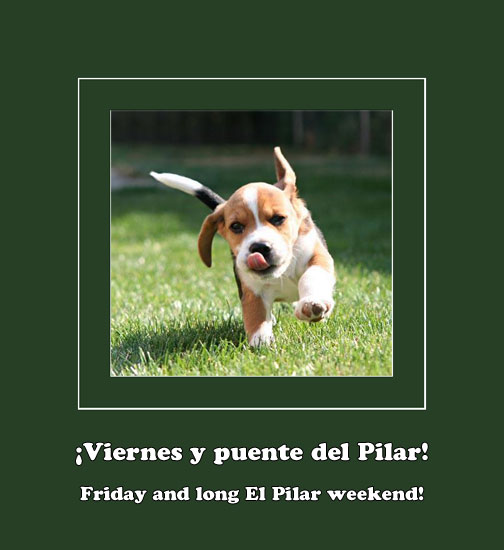 ¡Es viernes! ¡Sonríe! # 230
