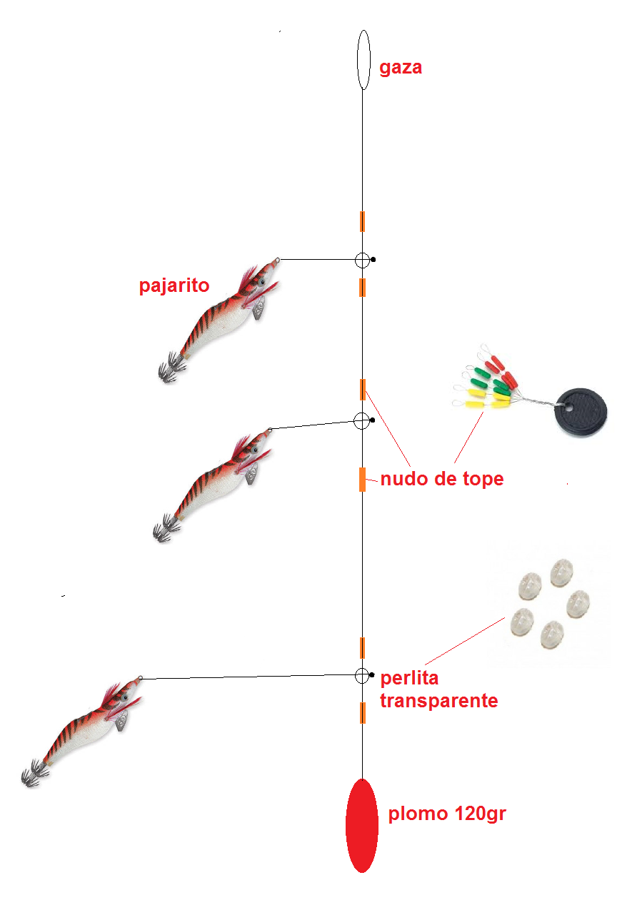 El Mundo de la Pesca en Cádiz: Pesca del Calamar