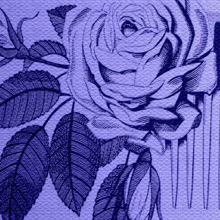 Create with TLC: PAPERS