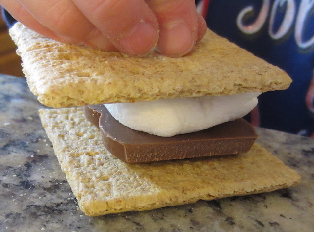 Zombie Parent's Guide: Foil Smores