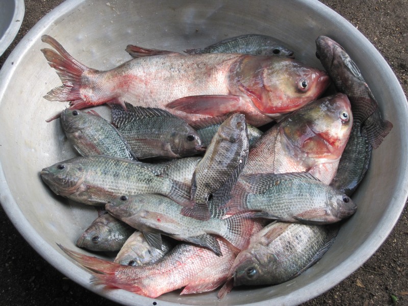 tungo sa kawalan: eve of the storm