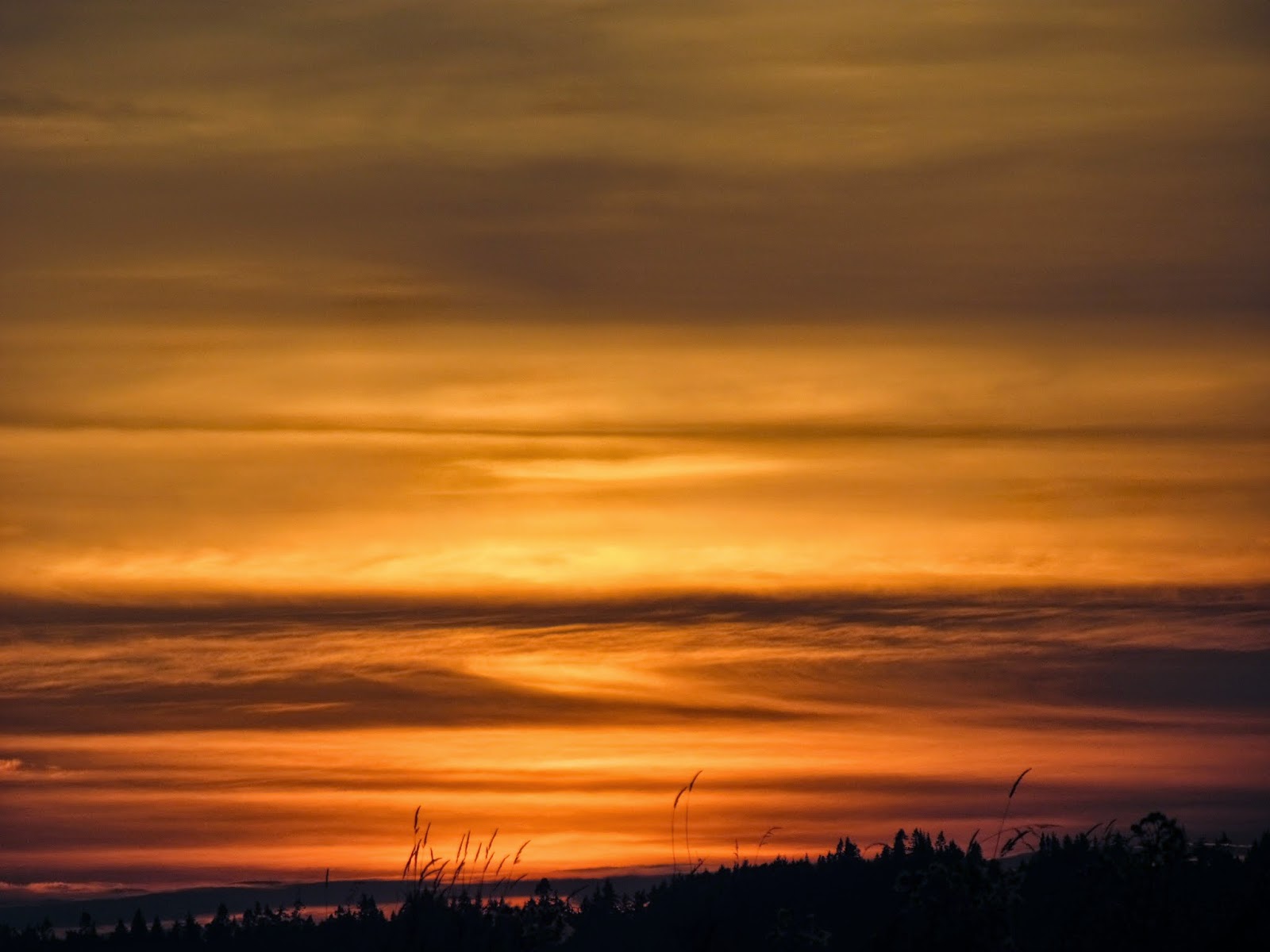 Scene Through My Eyes: Zoom In - Zoom Out - Sunset and Moonrise