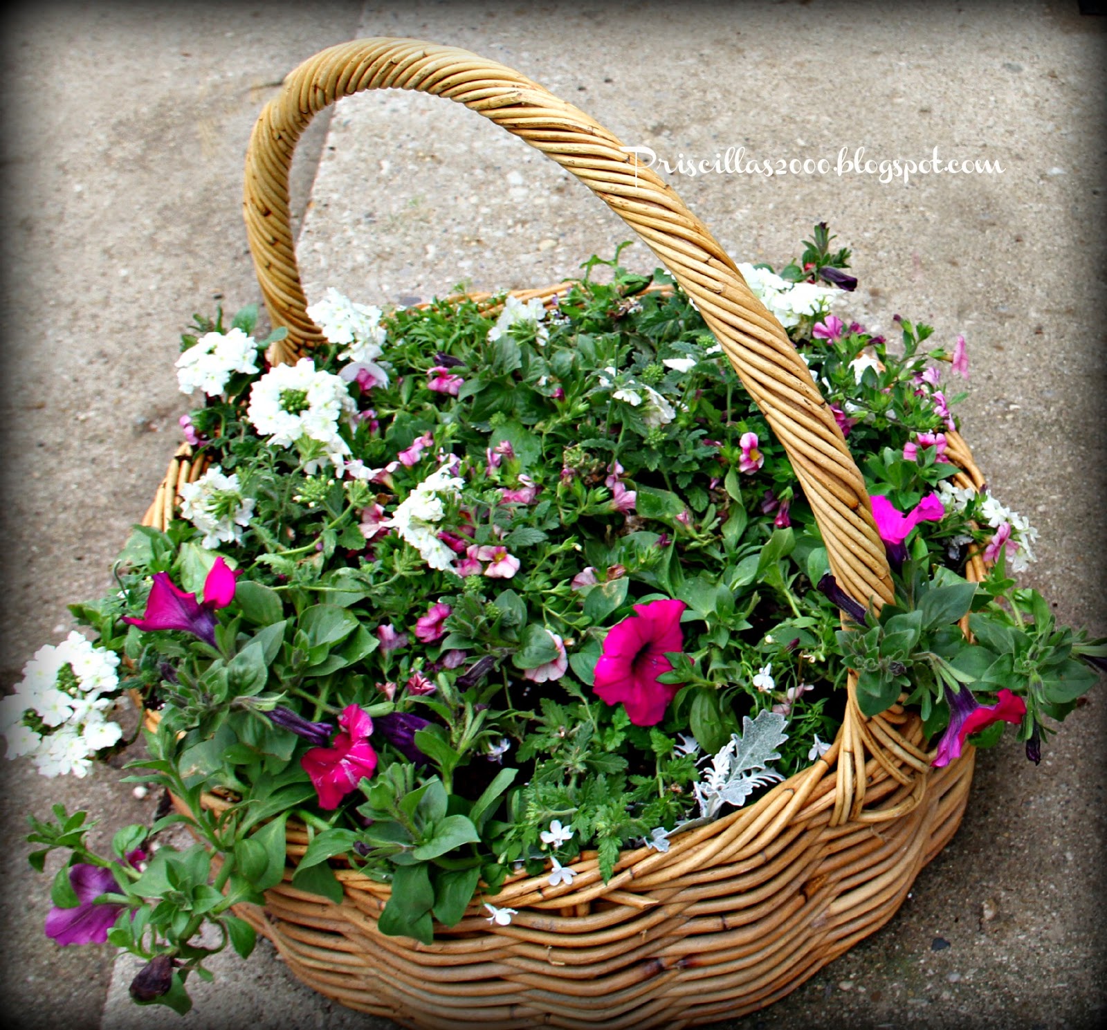 Priscillas: Planting Flowers in Thrift Store Baskets
