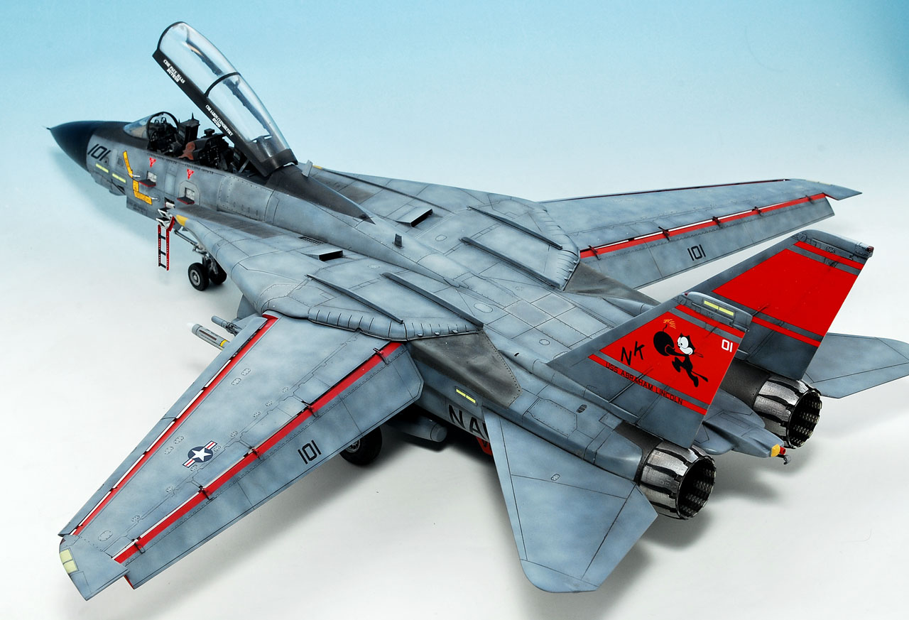 Wings of Glory: 1/48 Hasegawa F-14D Tomcat