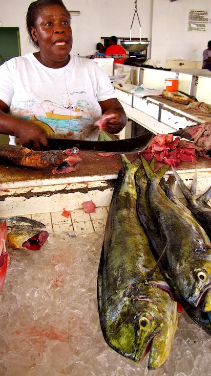 Windtraveler: Caribbean Images