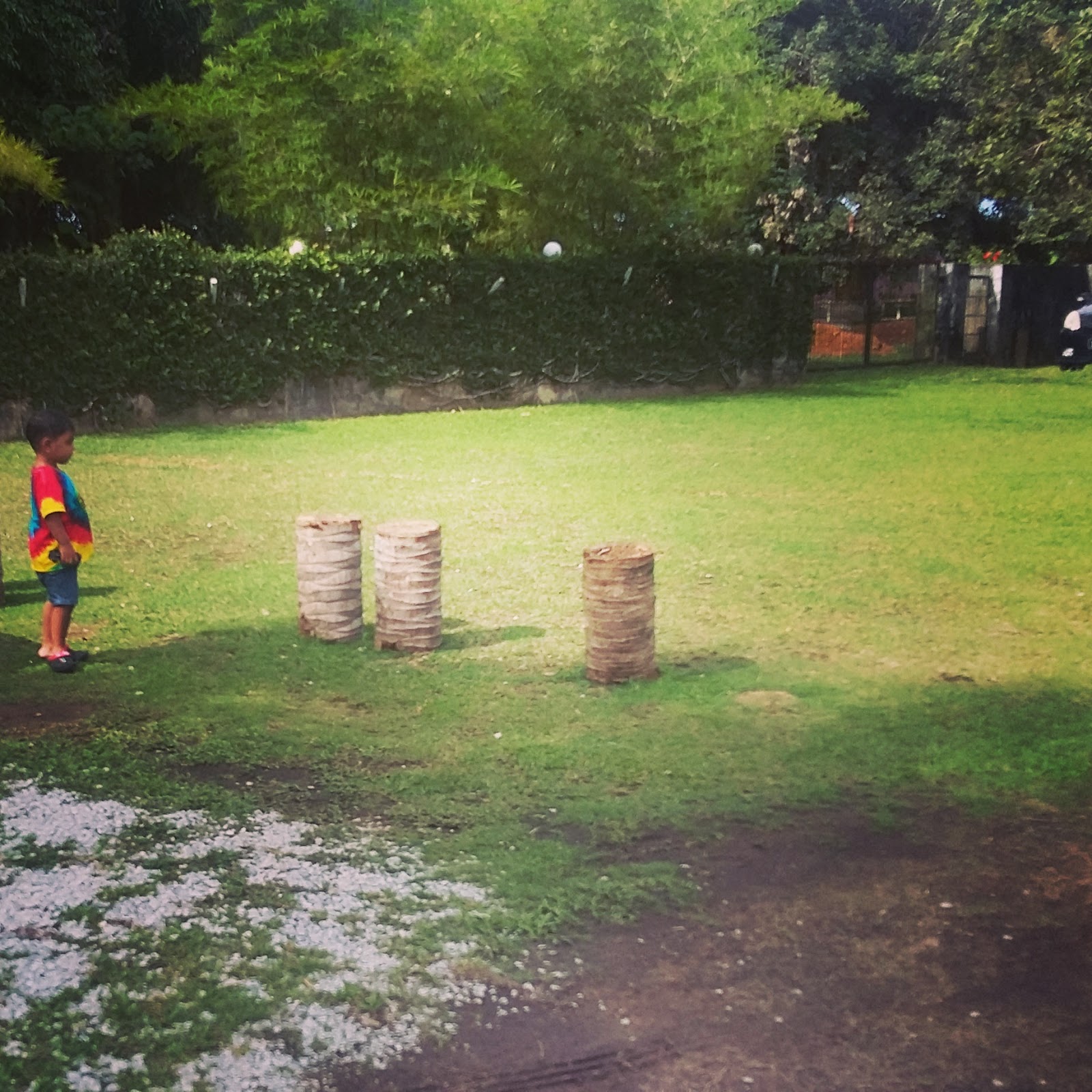 Akar Lima | The Best Home Cafe & BnB in Kulim