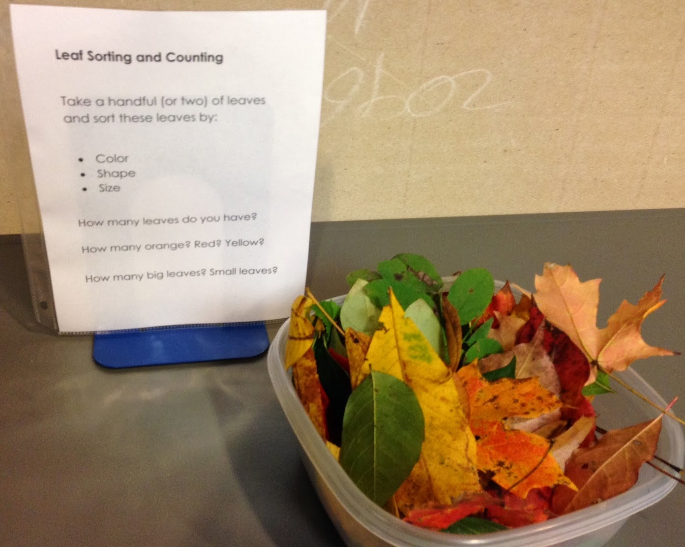 Abby the Librarian: Preschool Lab: Changing Leaves