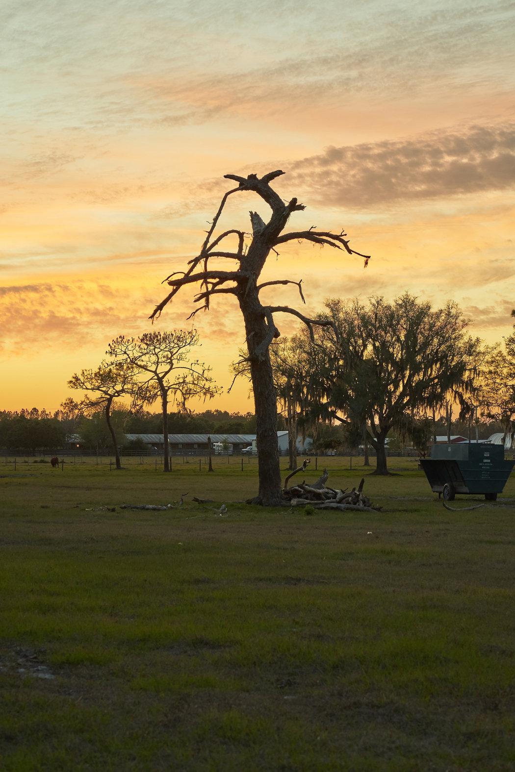 Arjunpuri in Qatar: Conjuring spirits in Florida