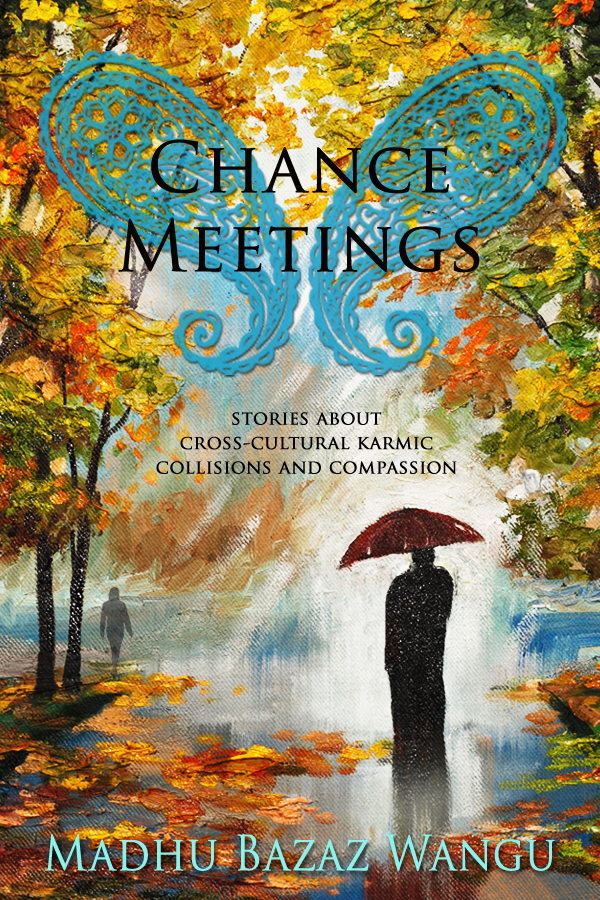 New Book Release: Chance Meetings