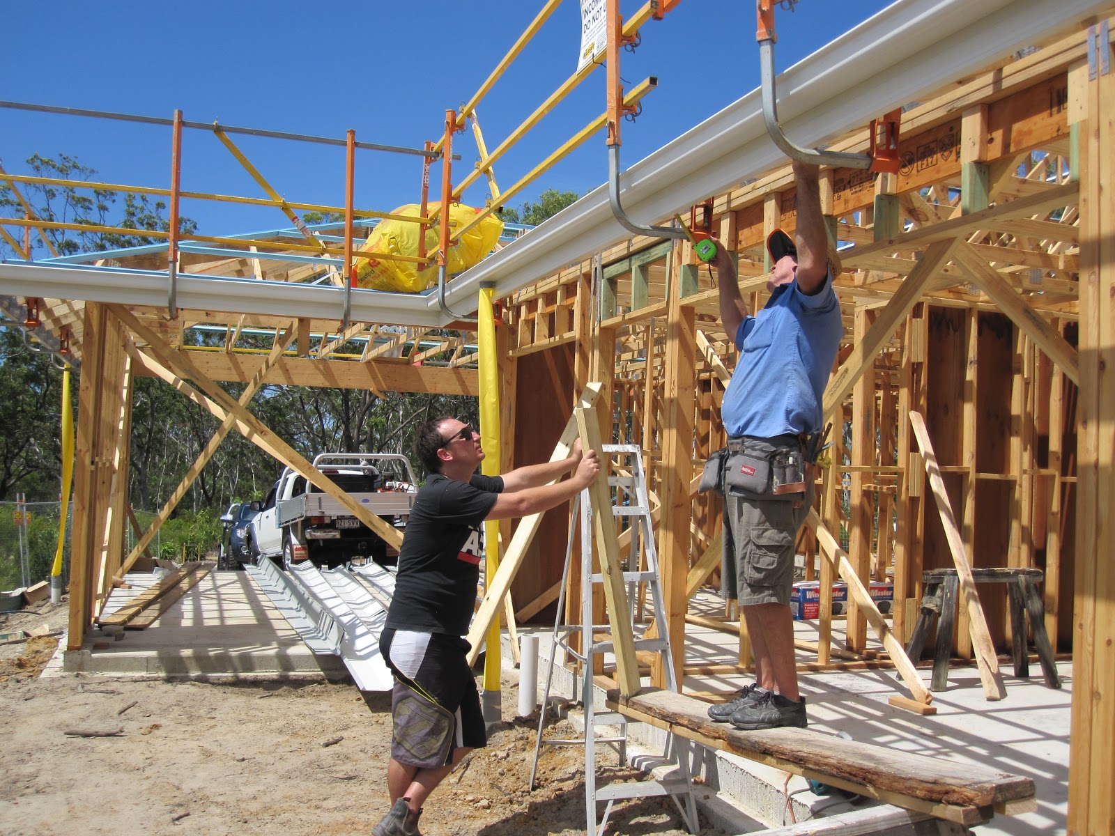 Going Coastal: Noggin & Roof ready