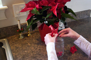 Almost Unschoolers: 17 Christmas Science Projects from Almost ...
