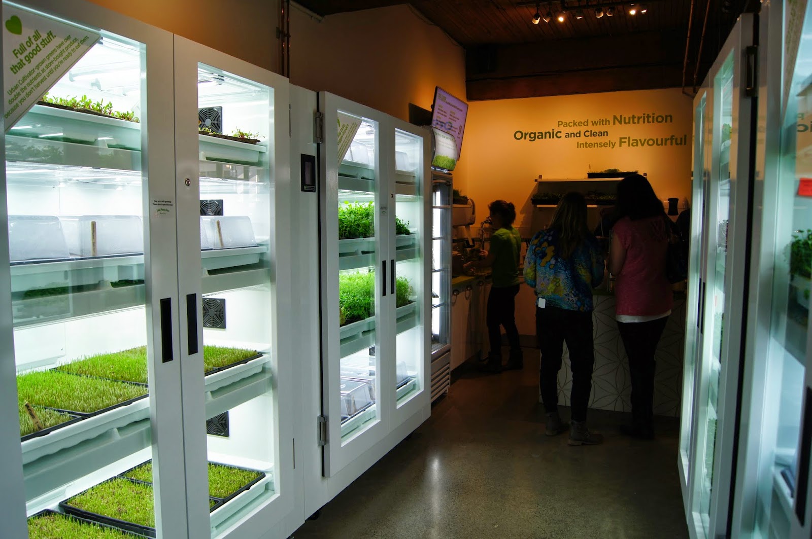 Mashed Thoughts: LPA - Serving Up Fresh Microgreens, Havested When Ordered