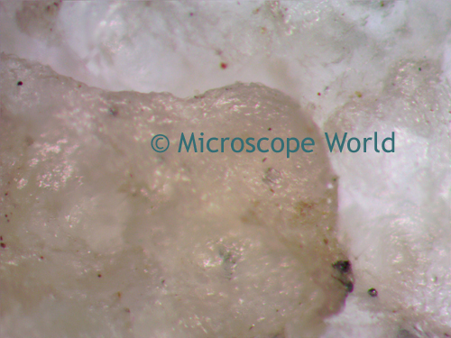 Microscope World Blog: Skin Under the Microscope