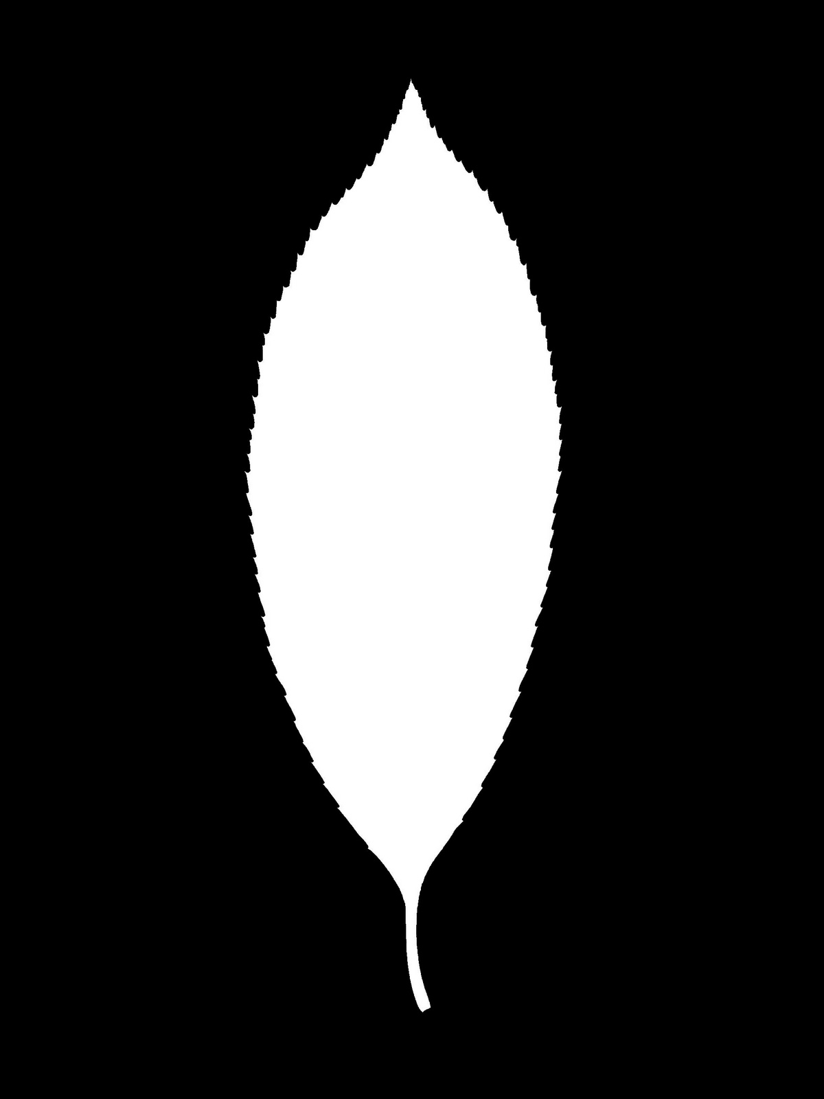 HIGH RESOLUTION TEXTURES: Leaf Textures