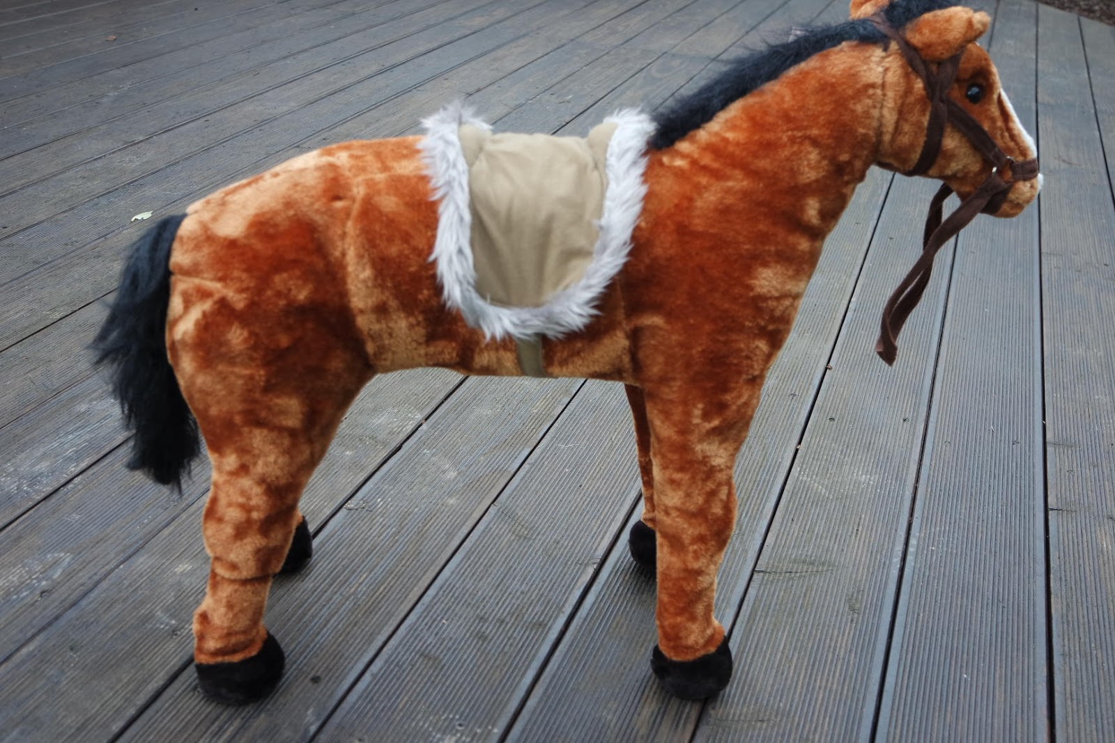 Ein Pferd zum Reiten für die Kinder - Filine bloggt