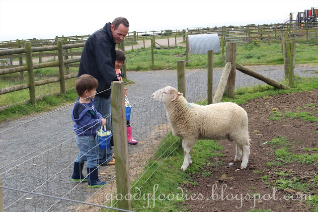 GoodyFoodies: Doonies Farm, Aberdeen, Scotland