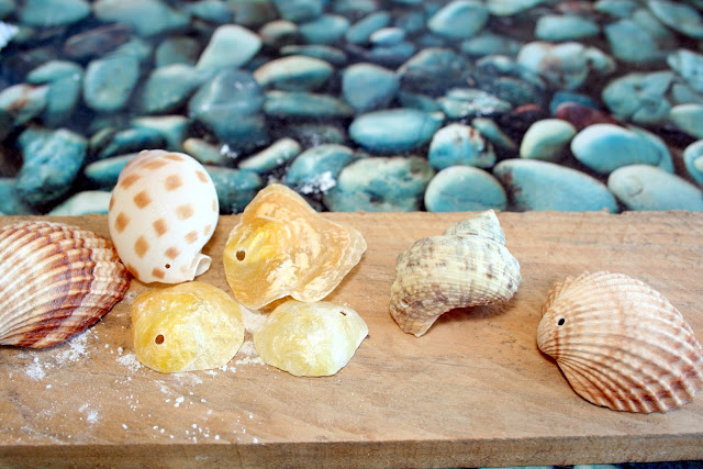 El Rincón de Tita Leti: cómo perforar conchas