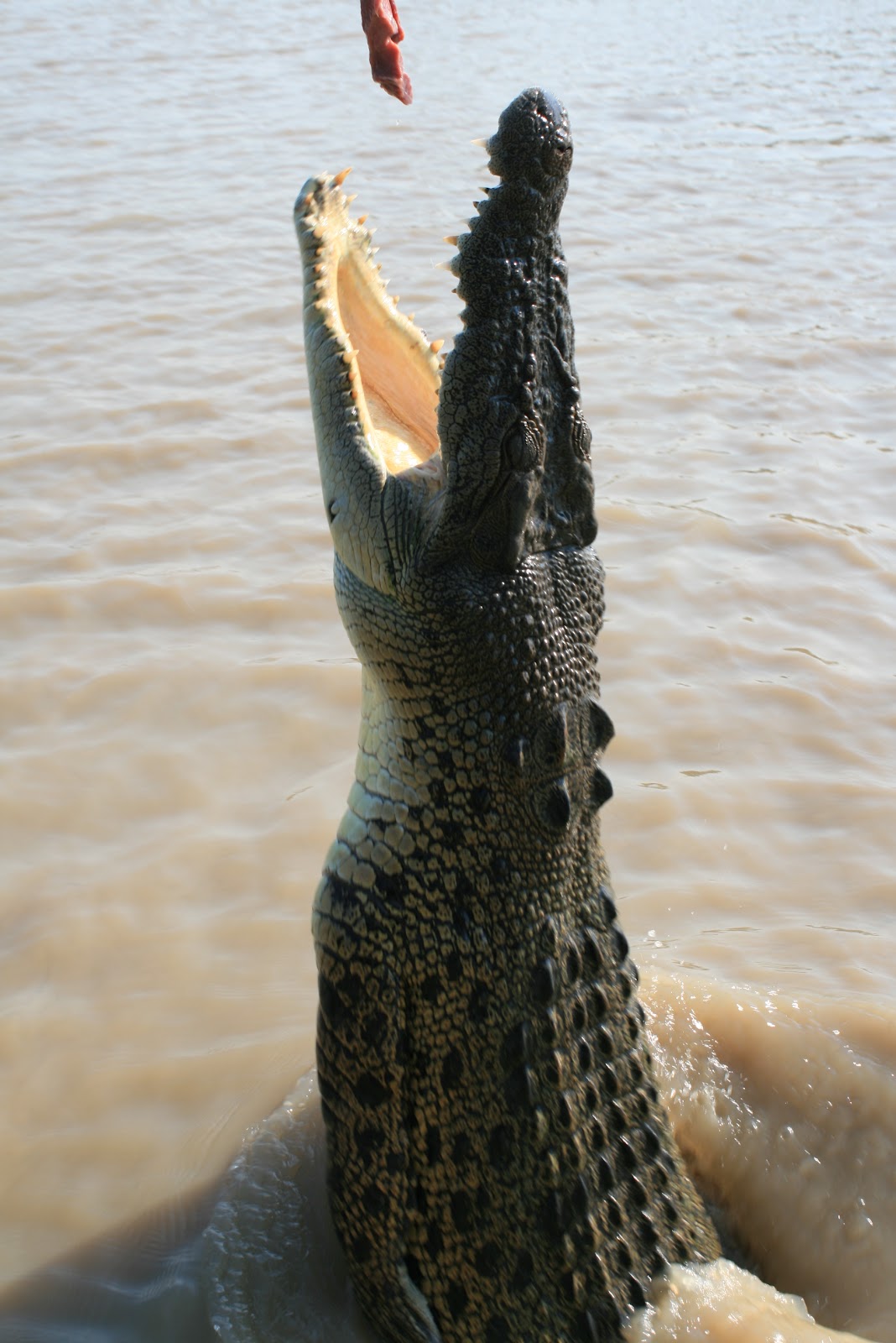 Our Trip across Oz 2012