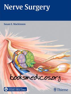 Nerve Surgery Susan E. Mackinnon | booksmedicos