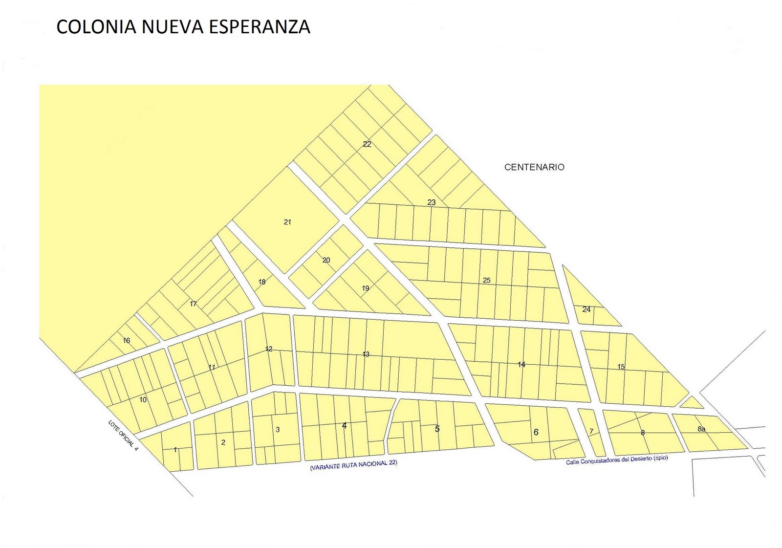 Brillo Intendente - Lista Celeste - Paez Teresa: Colonia Nueva Esperanza