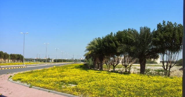 Life in Kuwait Blog: Random pics around Kuwait