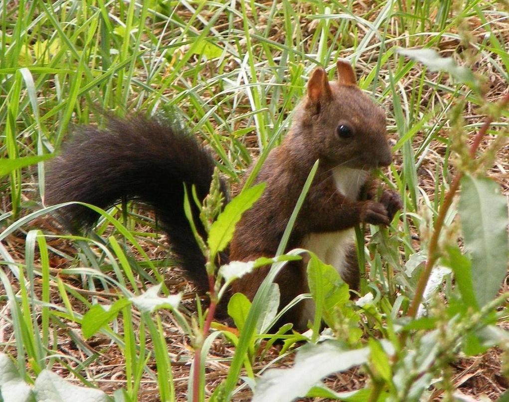 Cazare Vatra Dornei | Preparatedevis.ro