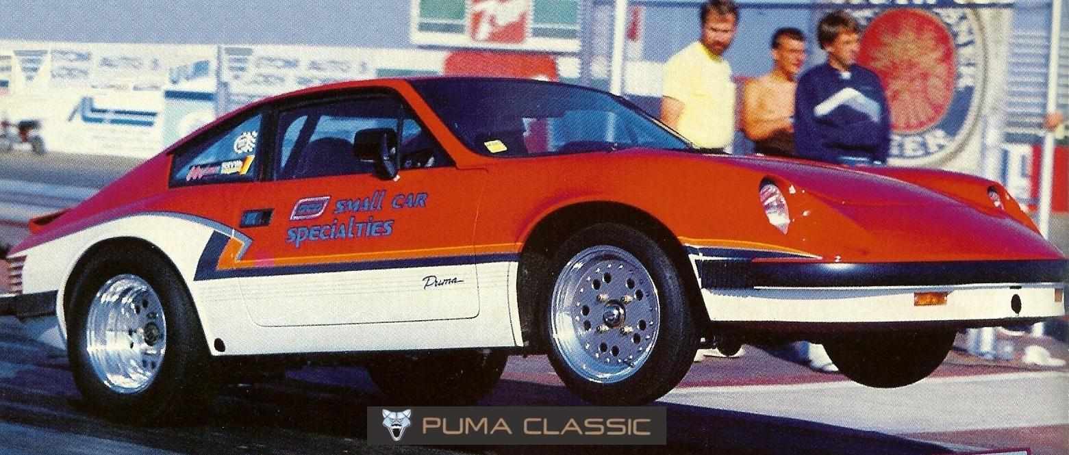 Puma Classic: Puma de corrida