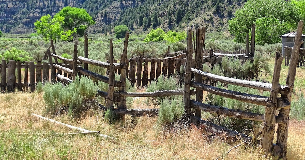 Walking Arizona: The Old Homestead
