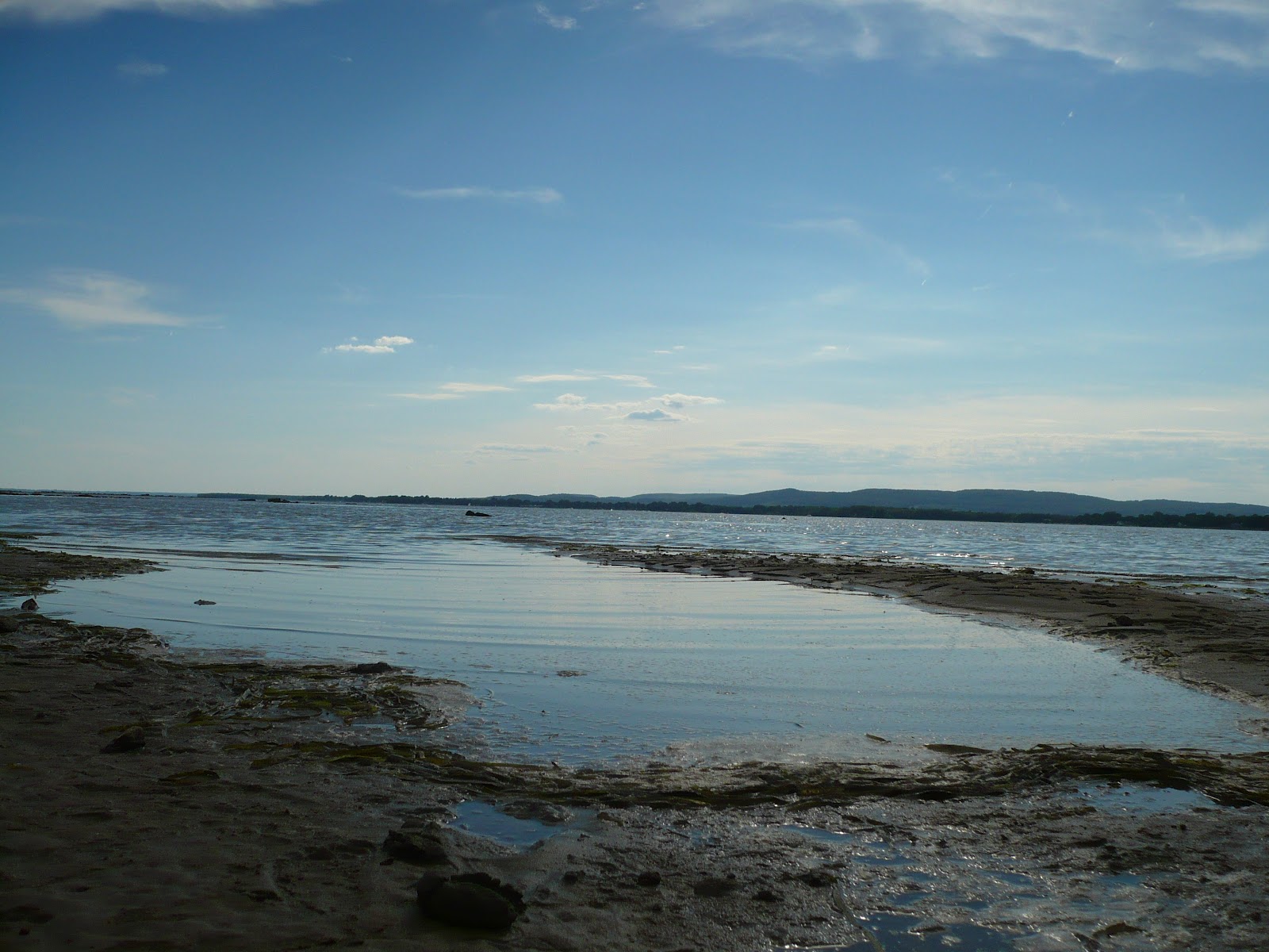 CANADA, trois petits points: Parc nature Cap St Jacques & Ile Bizard