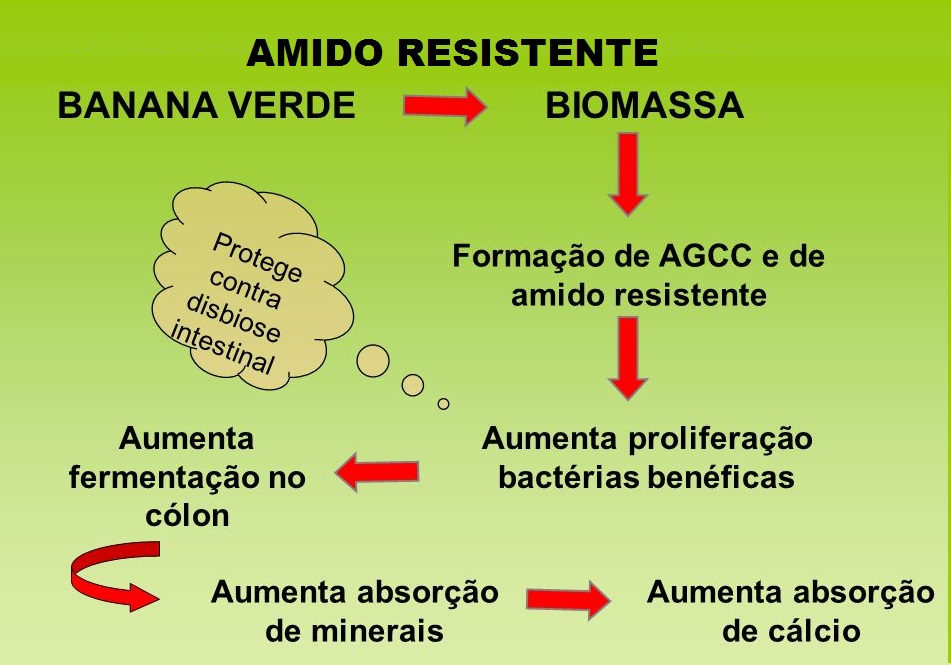 O que é mesmo Amido Resistente