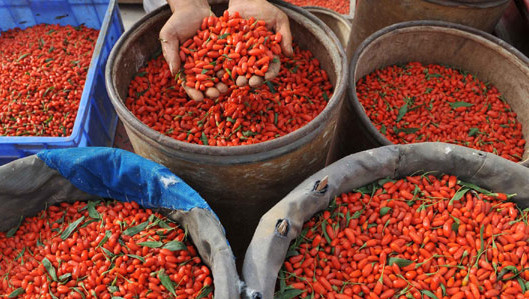 Goji uogos: sveikatos ir ilgaamžiškumo paslaptis