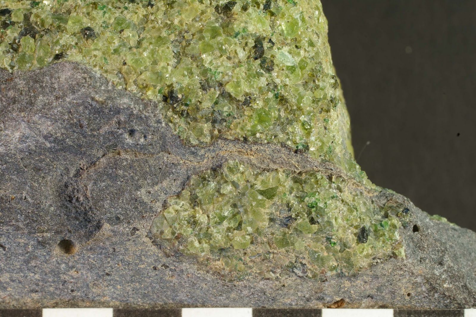 Peridotites: Mantle lherzolite xenolith in basalt - closeup of hand sample