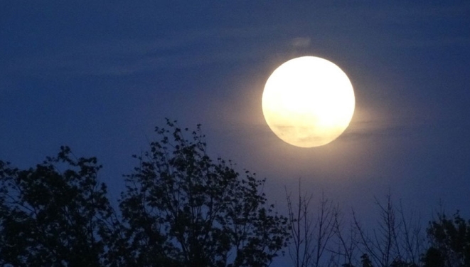 White Wolf : Happy Full Sap Moon 2018: What You Need to Know About ...