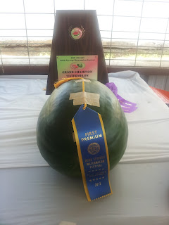 I Don't Share Popcorn: Finding Fun: 2013 Rush Springs Watermelon Festival