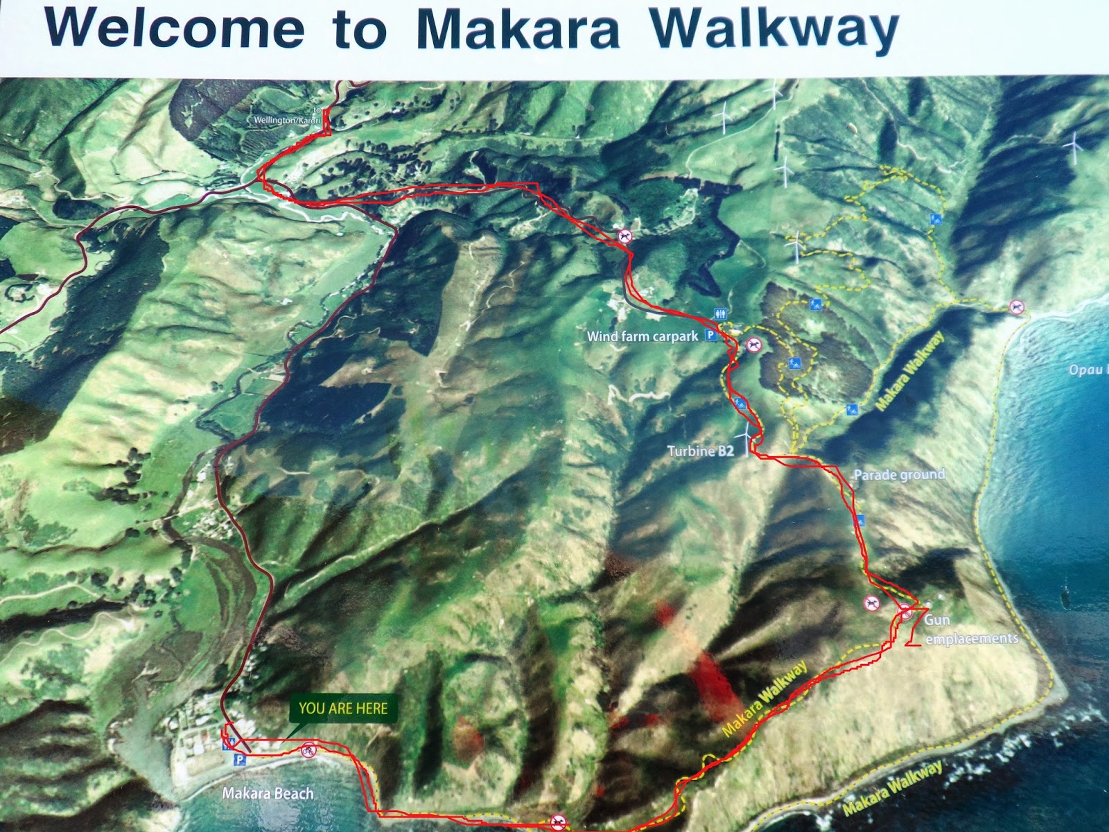 Arla Writes: Makara Walkway: Wellington Without Borders