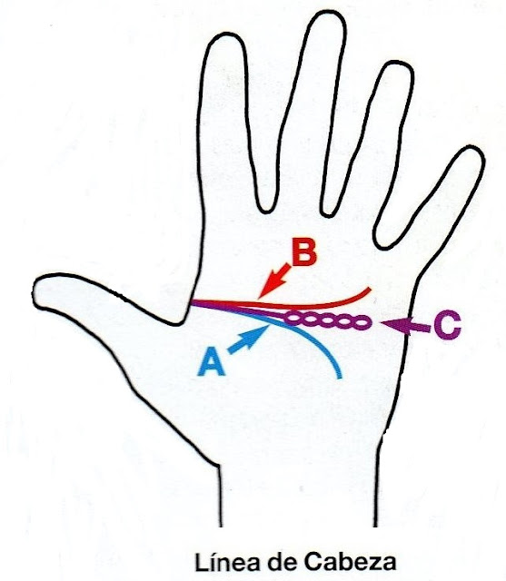 SIGNIFICADO DE LAS LÍNEAS DE LAS MANOS : DECORACION ESTILO MODA Y BELLEZA