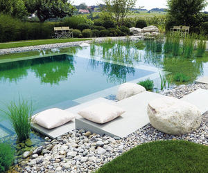 EcoSplash: Natural Swimming Pools by EcoSplash