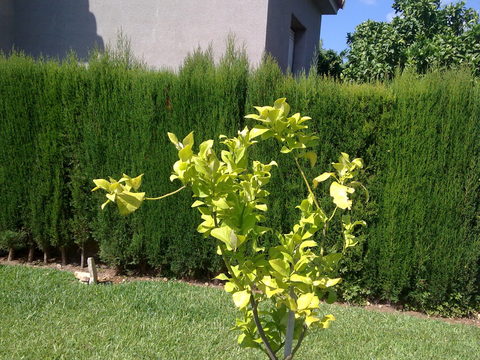 Bob's Bunny -- Bunny slang for rabbit.-- Rabbit: Verb. To talk, often ...