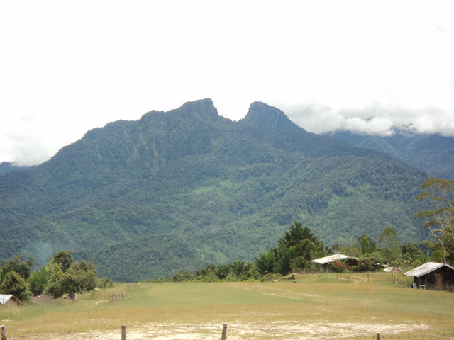 BLOG-GENERATION "YALIMO".: PROFIL KABUPATEN YALIMO