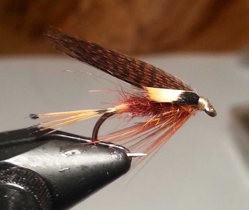 Piscari-Fly : FIERY BROWNS