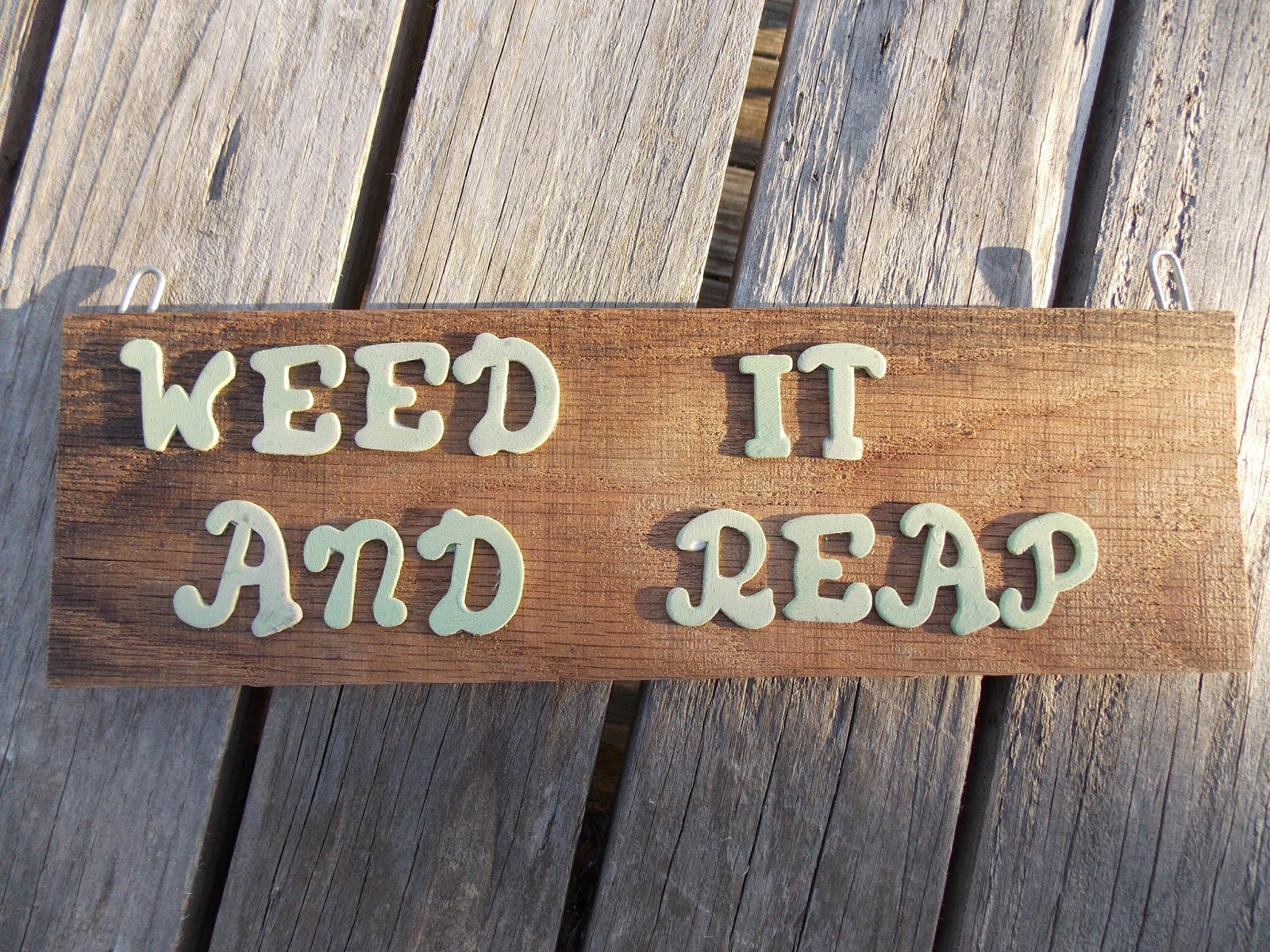 My Hobby: Sign, sign everywhere a sign....