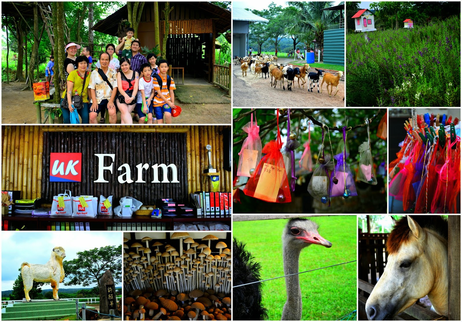 irence ღ thought : [马来西亚：居銮] Kluang UK Farm 休闲农场 Part 1