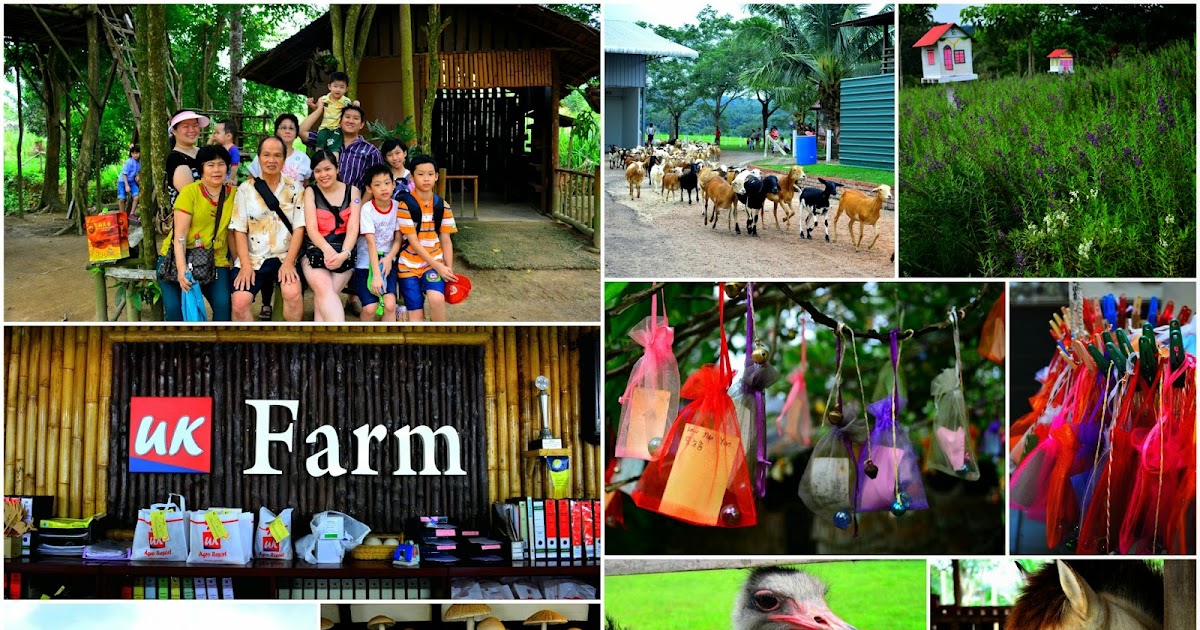 irence ღ thought : [马来西亚：居銮] Kluang UK Farm 休闲农场 Part 1