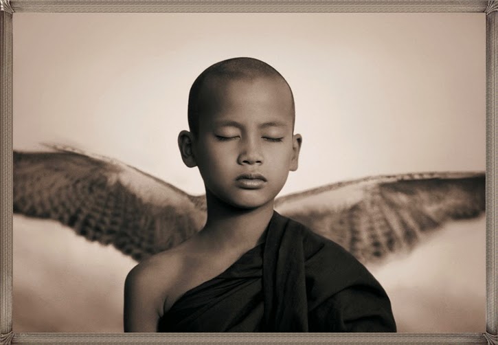 Ostáriz Art Gallery: Gregory Colbert