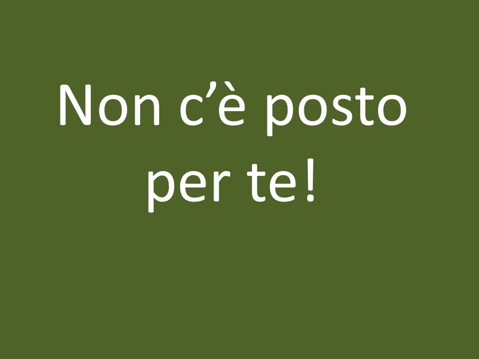Nuova Ponte di Nona, il quartiere dei parchi & centralità metropolitana ...