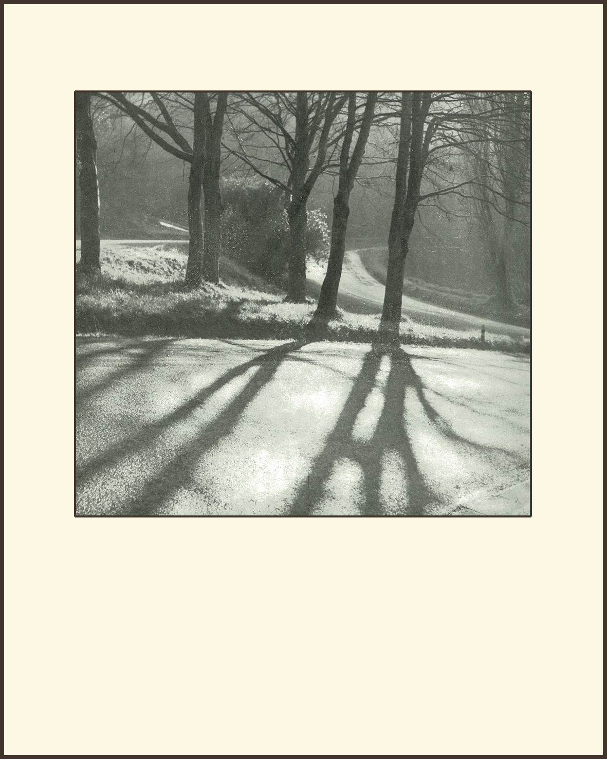 Early New Zealand Photographers: CHANCE, George