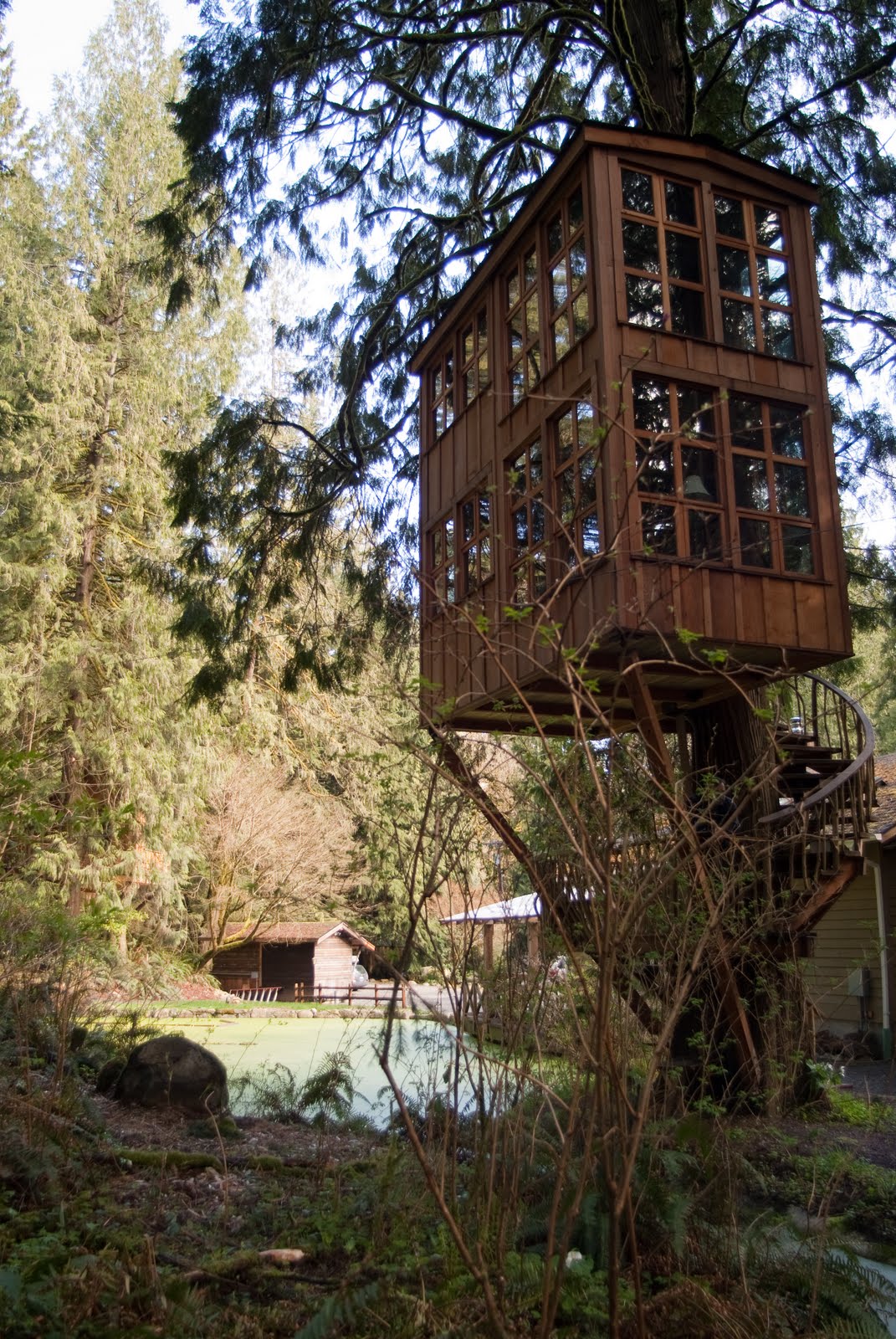 This is something I saw once.: Treehouse Point Weekend, Fall City